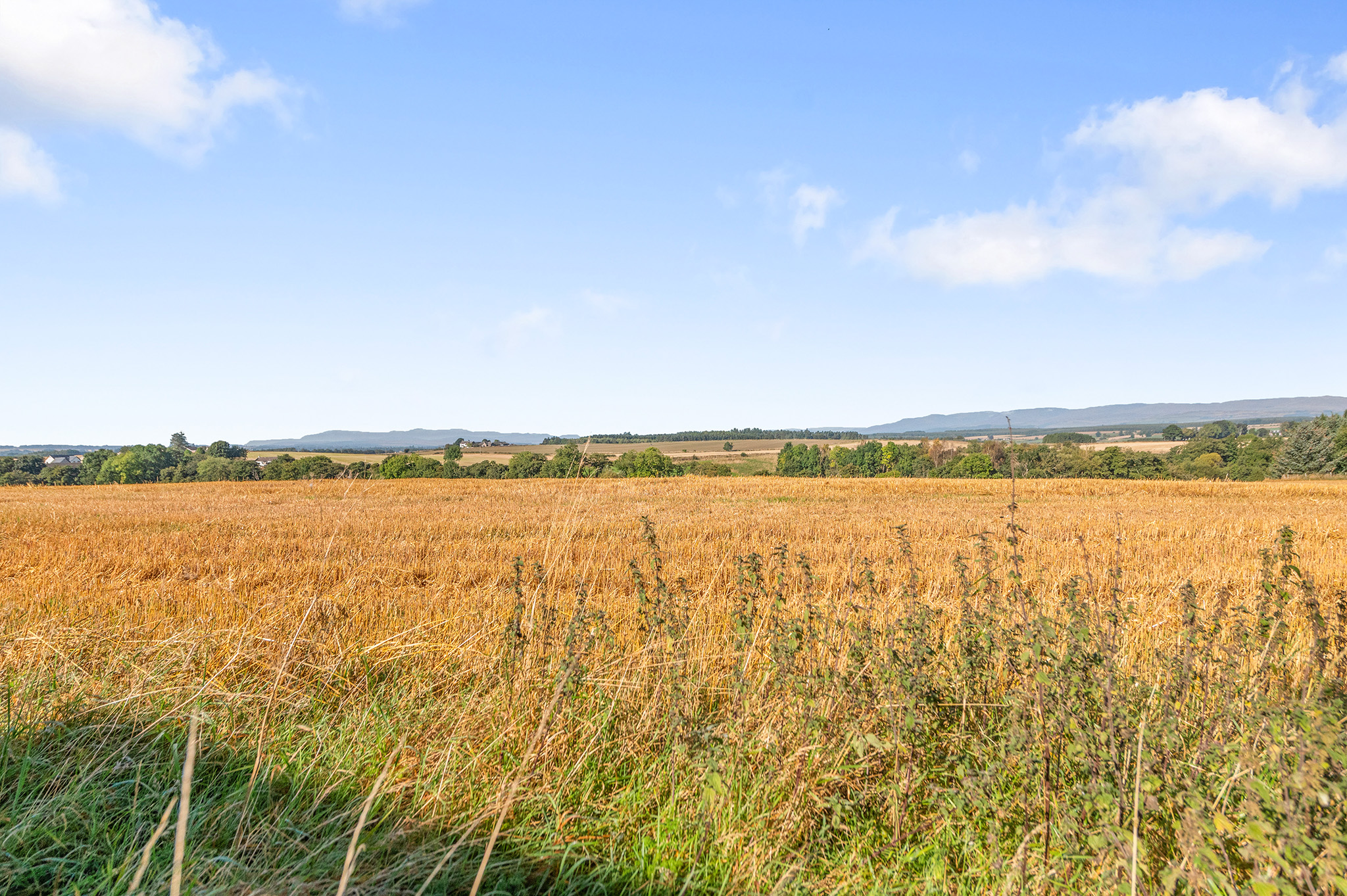 Main Road, Aberuthven, PH3 - Halliday Homes