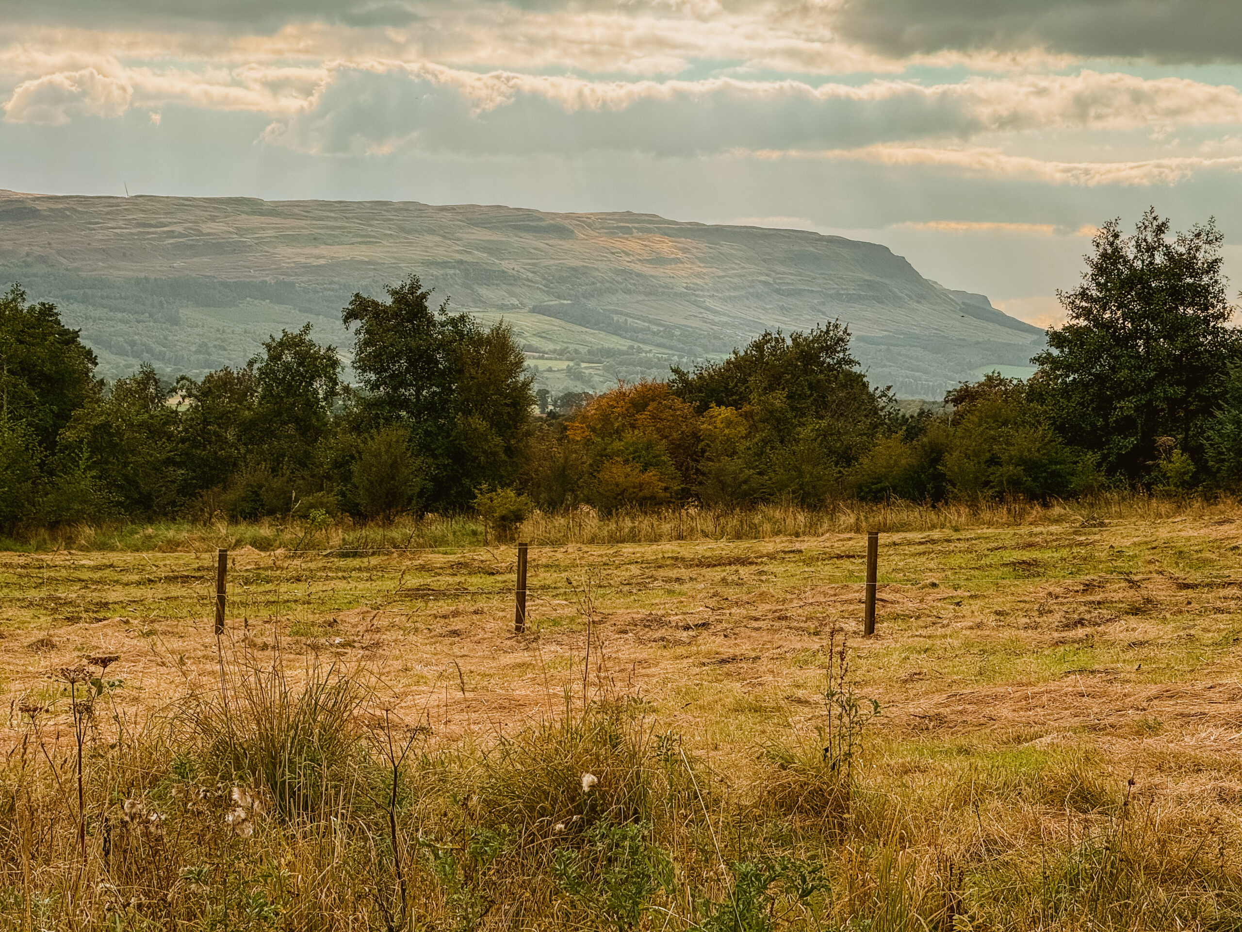 The Lecropt Development, Bridge of Allan - Halliday Homes